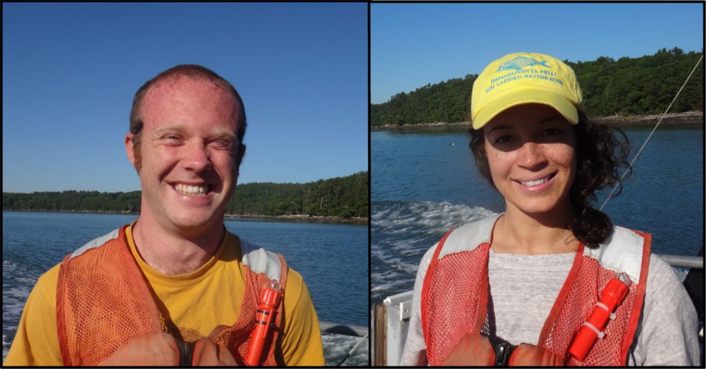 New DMC researchers aim for better understanding of lobster lives ...