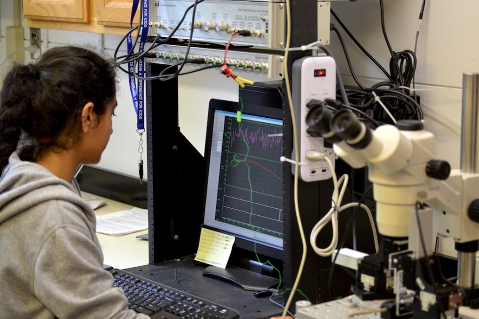 Scientists research the movement of squid - Darling Marine Center ...