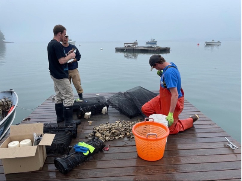 Shellfish Aquaculture Production and Products Internship - Darling ...