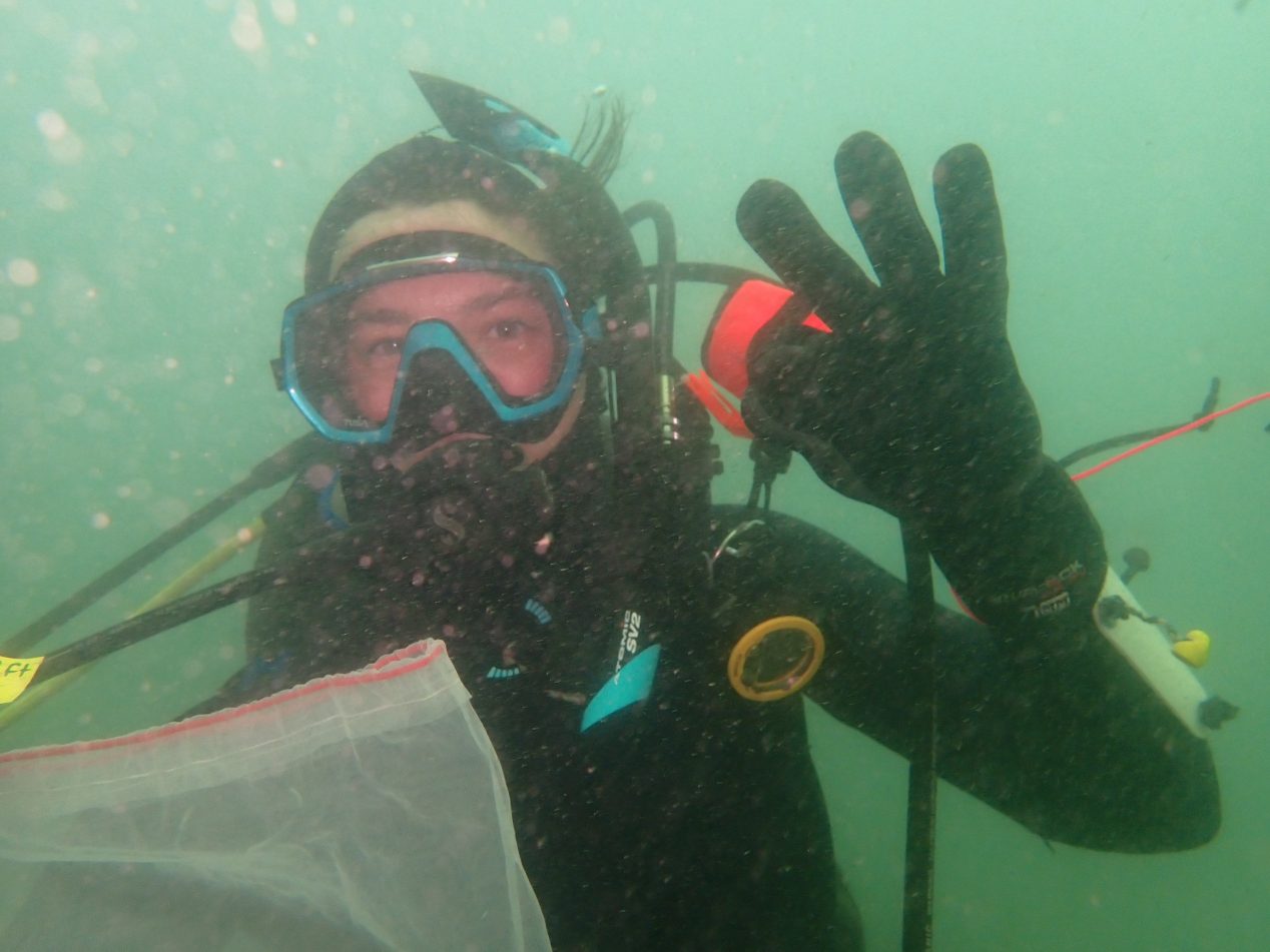 Darling Marine Center